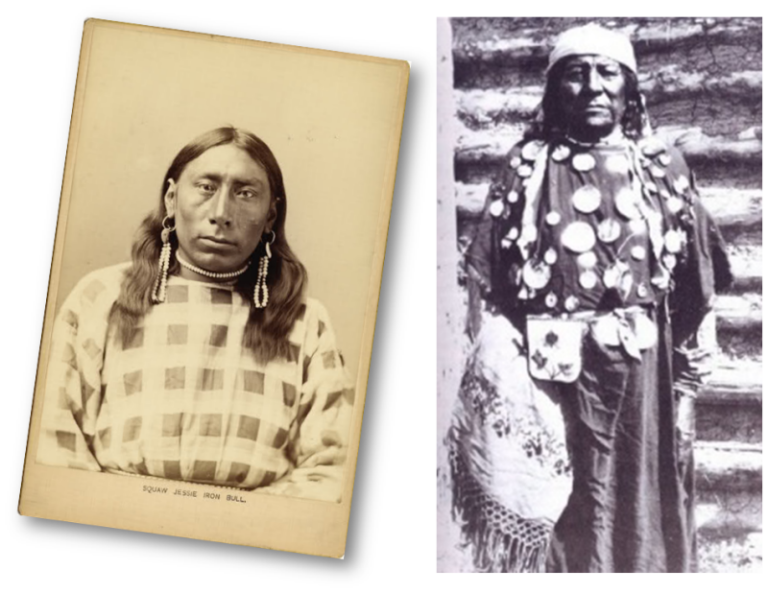 Native American Two-Spirits: Alternative Histories of Gender and ...